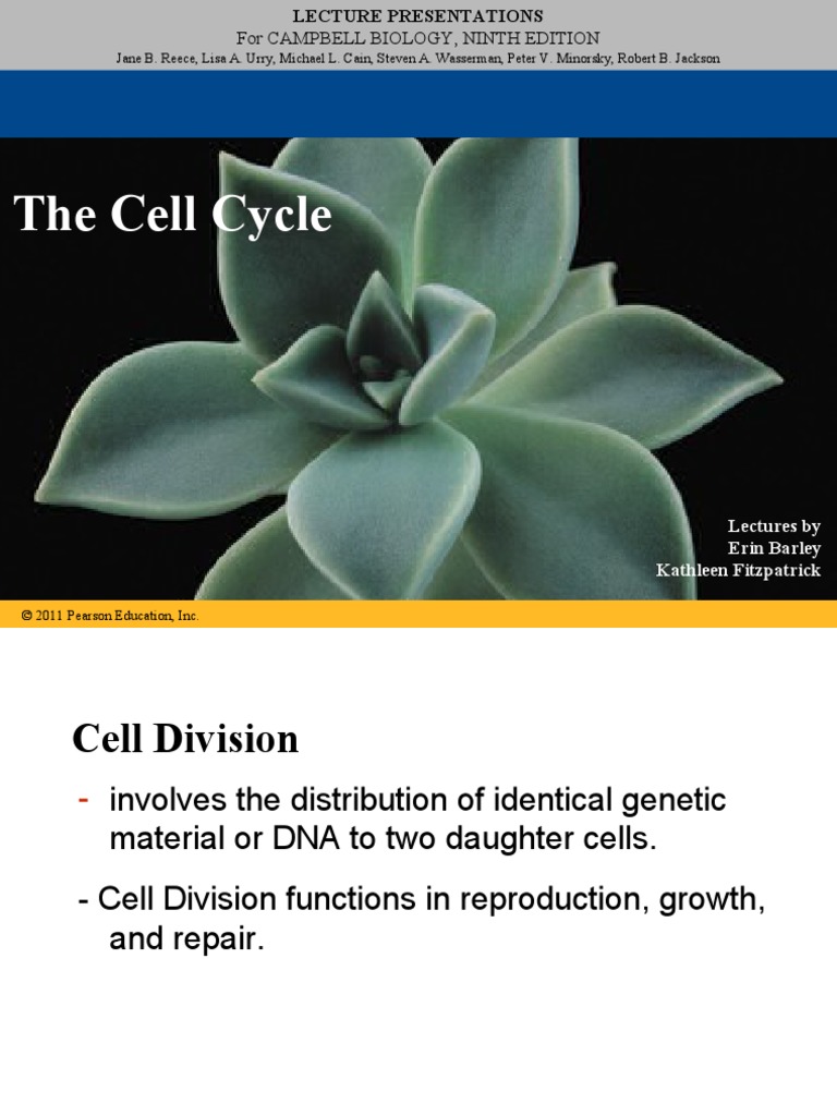 The Cell Cycle: For Campbell Biology, Ninth Edition | PDF | Meiosis ...