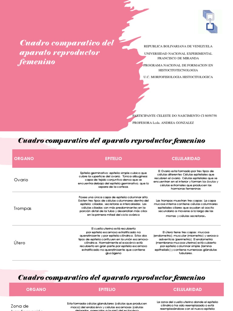 Cuadro Comparativo Del Aparato Reproductor Femenino | PDF | Epitelio | Ovario
