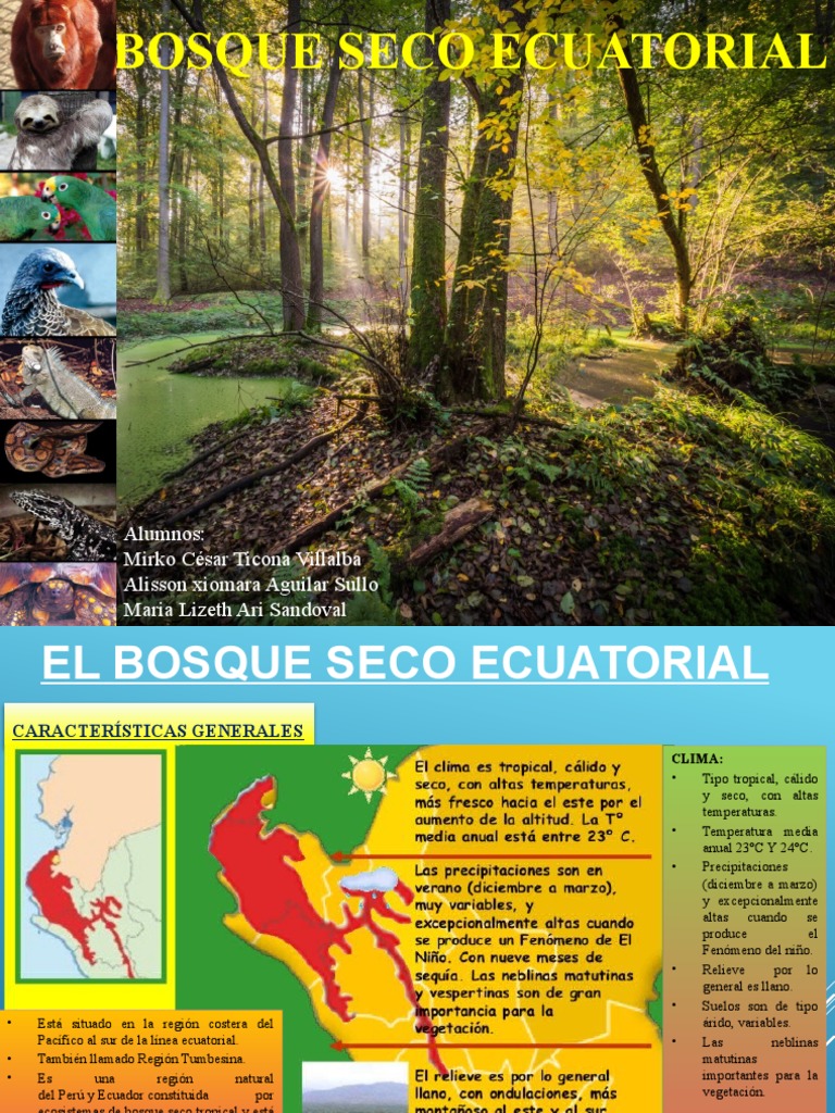 Características del Bosque Seco Ecuatorial | PDF | Agua | Zona tropical