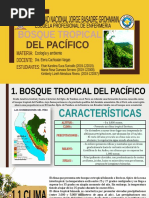 Sabana de Palmeras en Perú: Clima y Fauna | PDF | Clima | Suelo