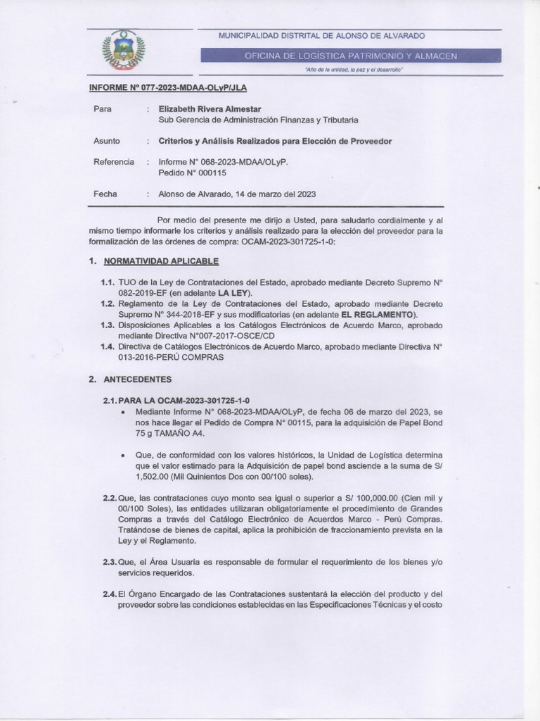 Informe para Peru Compras | PDF