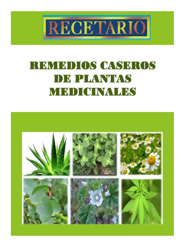 Recetario Herbolario - Francis Karely Garcia May | PDF | Agua | Té