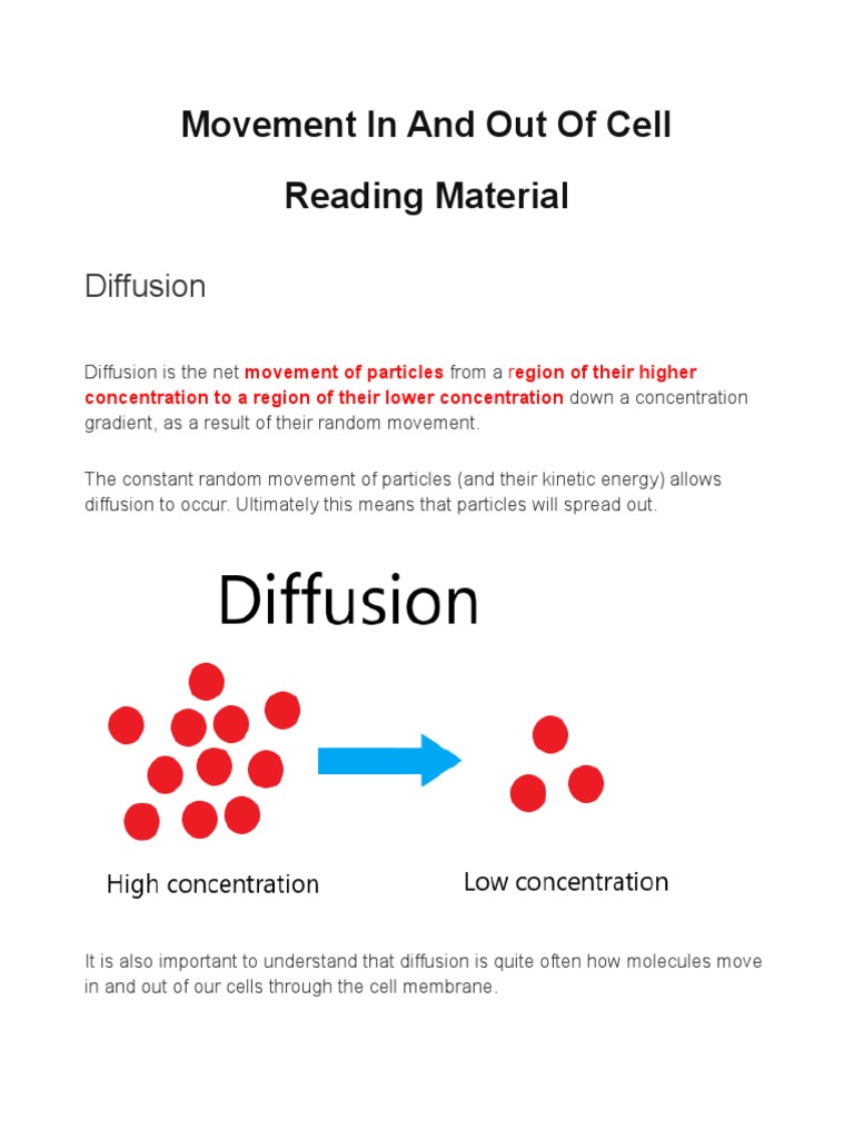 Cell Transport: Diffusion, Osmosis, Active Transport | PDF | Osmosis ...