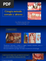 Clasificación de Seibert Los Defectos Del Reborde Alveolar | PDF