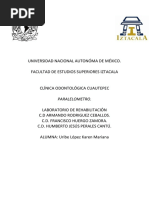 Clasificación de Seibert | PDF | Ciencia y matemáticas