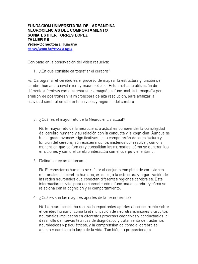 TALLER - Video-Conectoma - Humano Santiago Pacheco Jhonatan Vergel | PDF | Cerebro | Neurociencia
