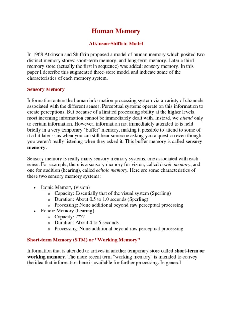 Human Memory: Atkinson-Shiffrin Model | PDF | Memory | Perception