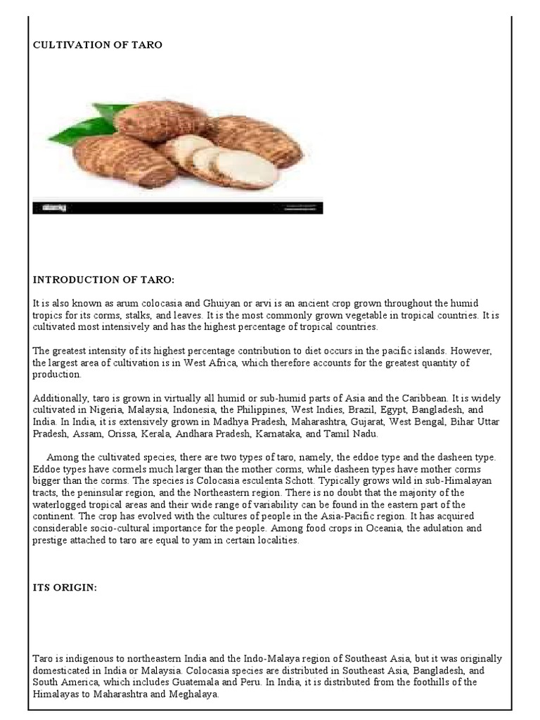 Taro | PDF | Soil | Plants