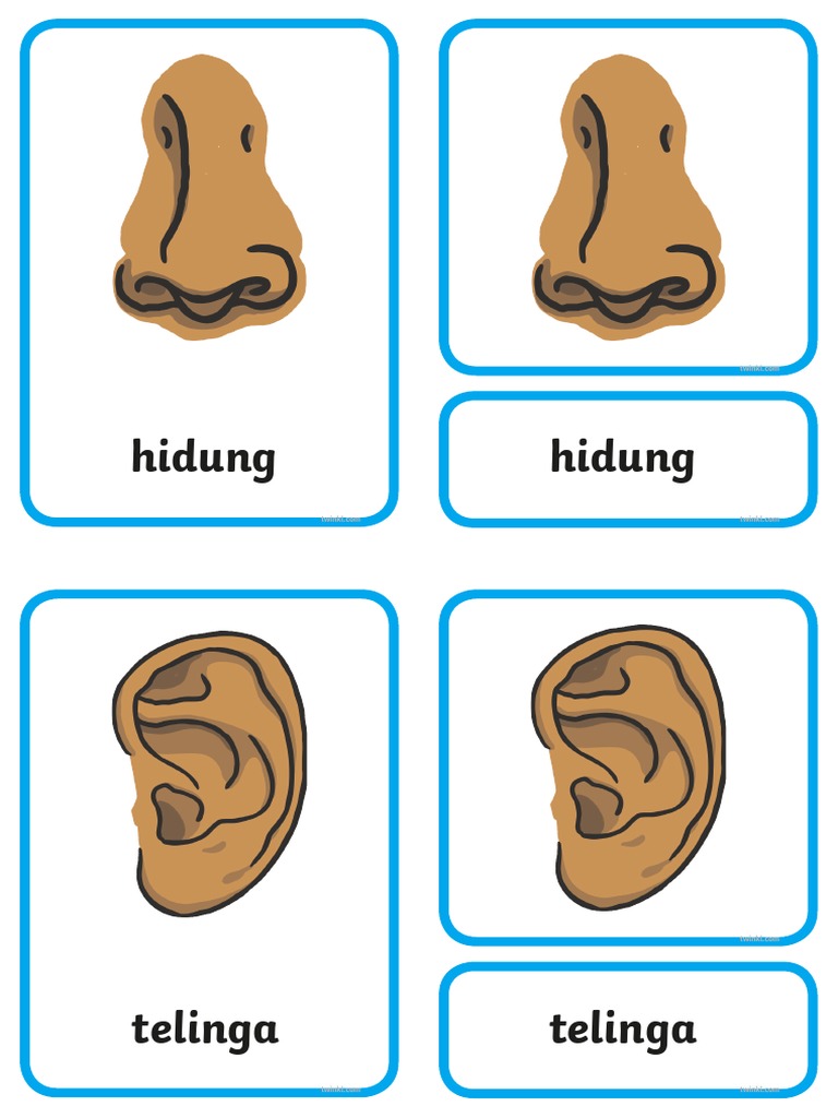Pengenalan Anggota Tubuh Pada Anak Usia Dini & Abk | PDF