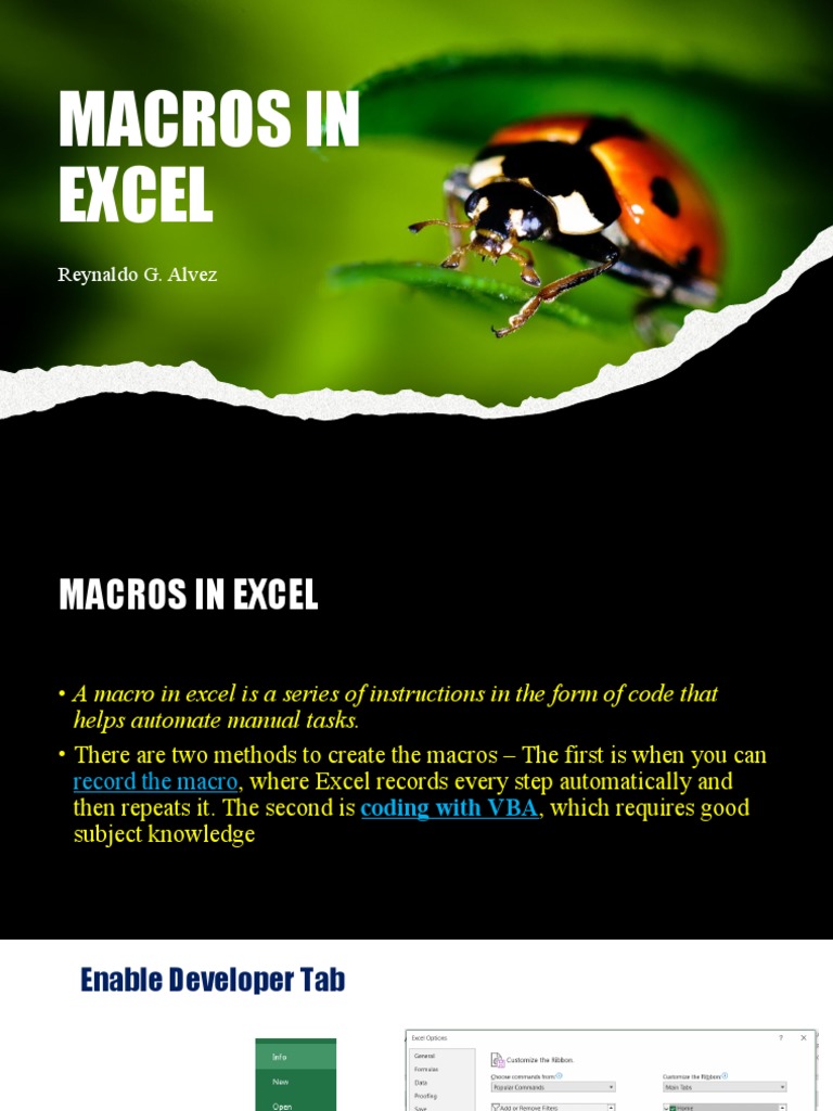 Macros in Excel | PDF
