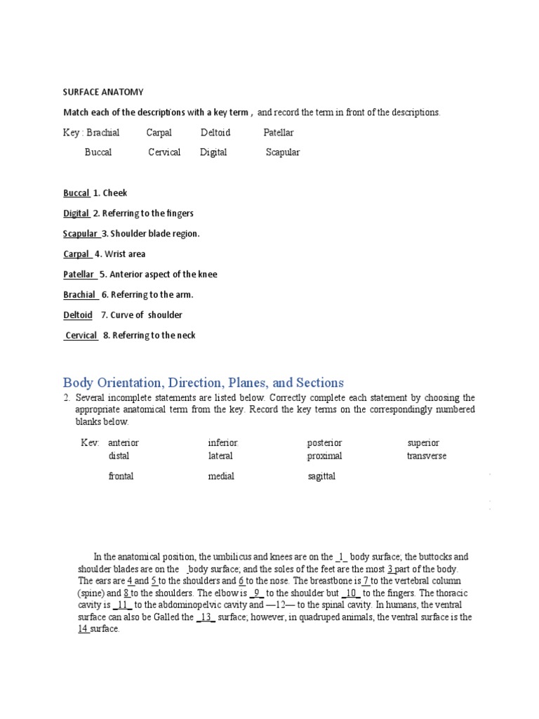 Anatomy Language | PDF | Science & Mathematics