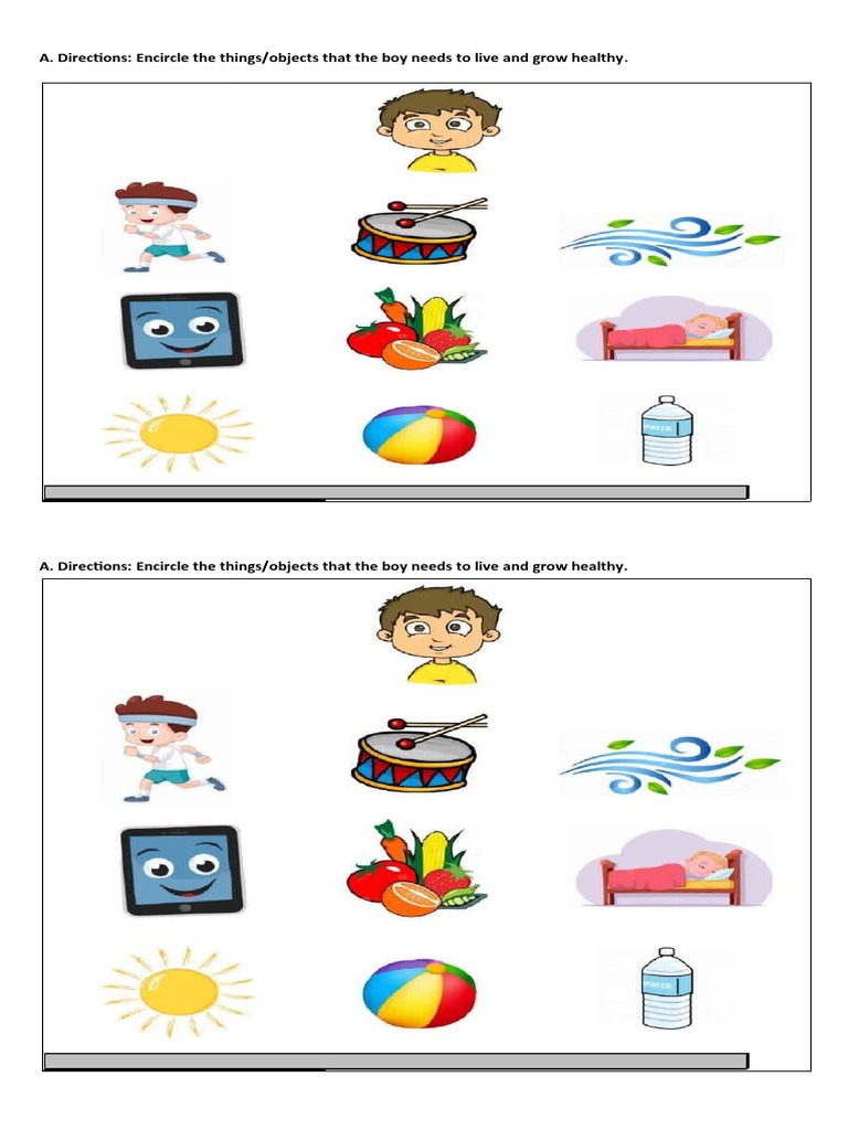 A. Directions: Encircle The Things/objects That The Boy Needs To Live ...