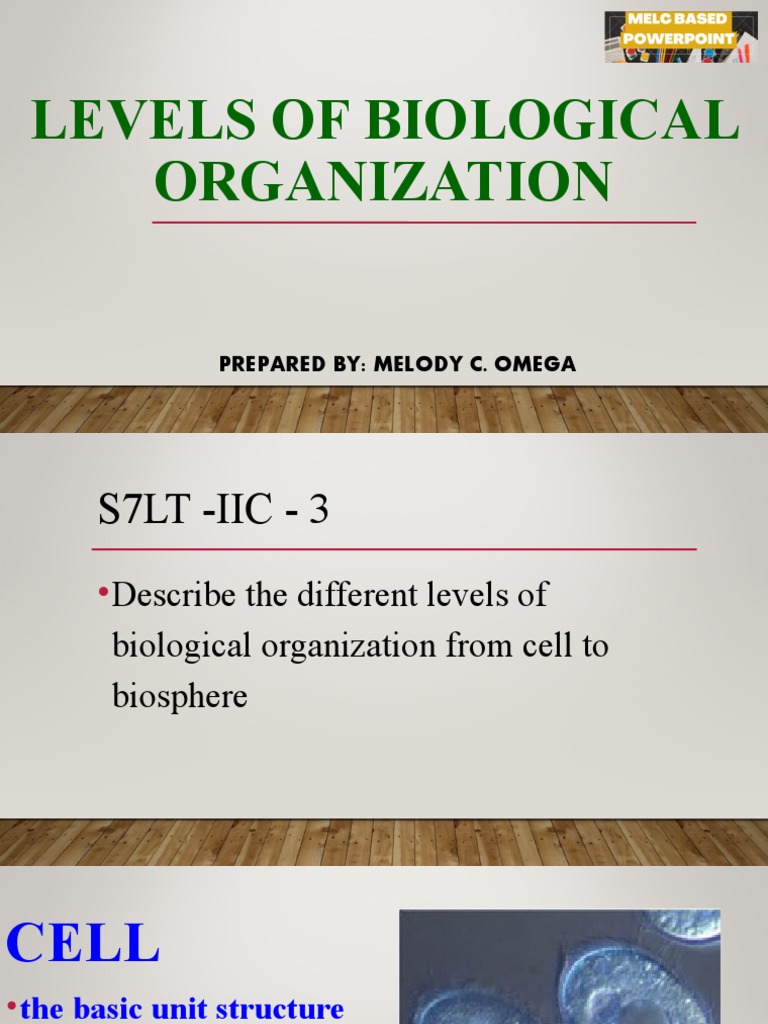 G7 Science Q2 - Week 3-Levels of Biological Organization | PDF | Human ...