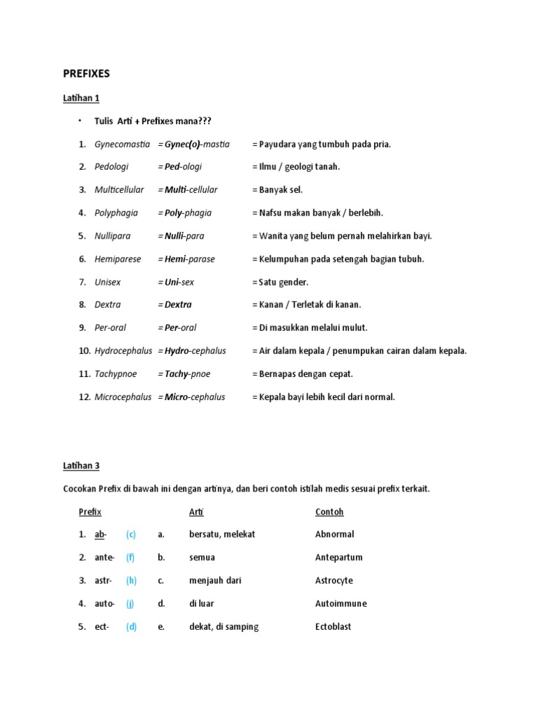 S1 Ars - Term Prefixes | PDF