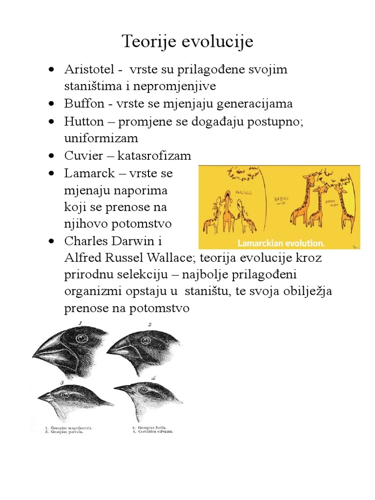 Teorije Evolucije | PDF