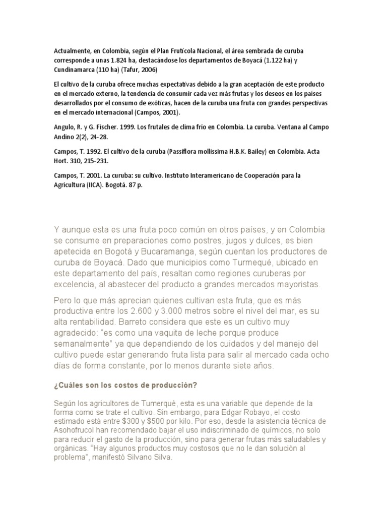 Informacion de Curuba | PDF | Colombia | Comida y bebida