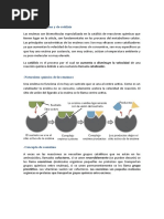 Zimogenos o Proenzimas | PDF | Salud y bienestar