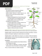 Cours 2-La Paroi Pectocellulosique PDF | PDF | Paroi cellulaire | Lignine