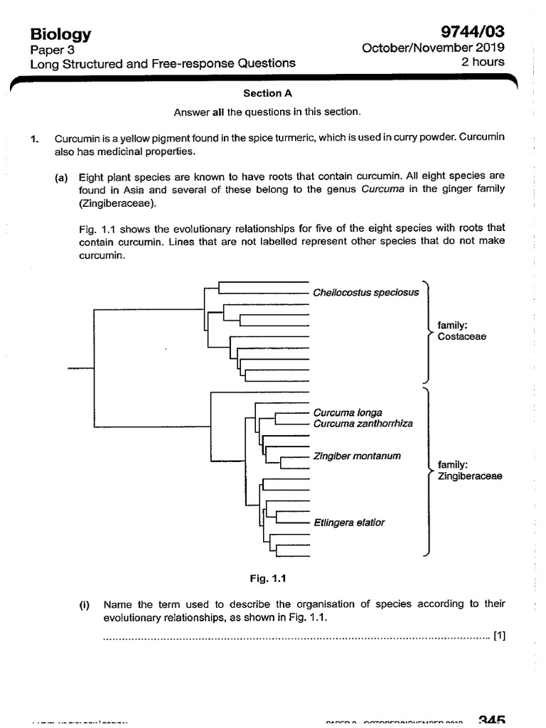 22 - Specimen Paper 2019 - P3 | PDF
