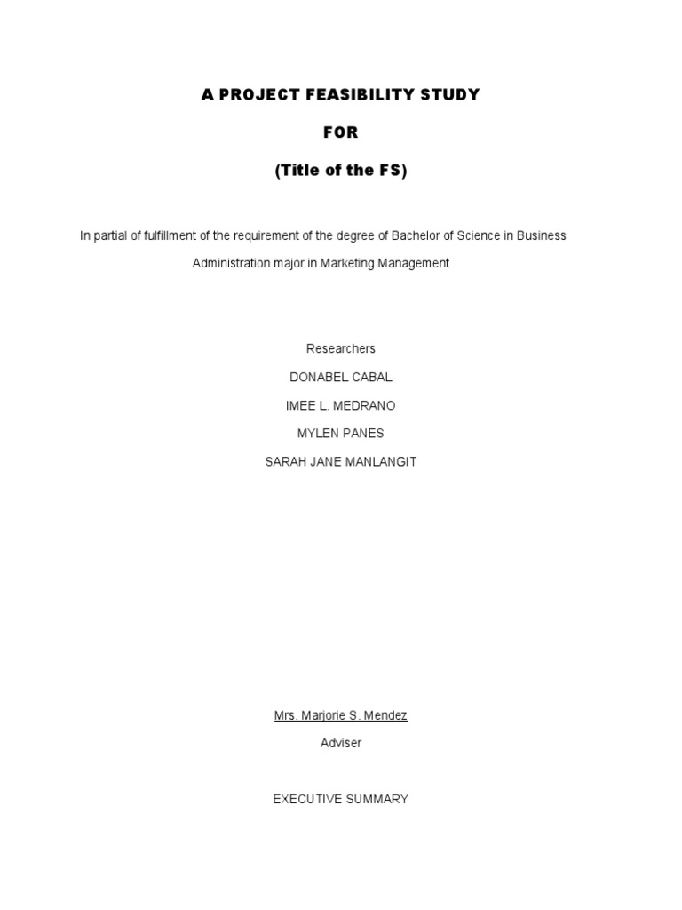 A Project Feasibility Study | PDF