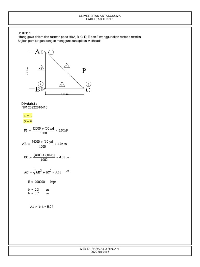 Matriks Meyta | PDF | Sains & Matematika