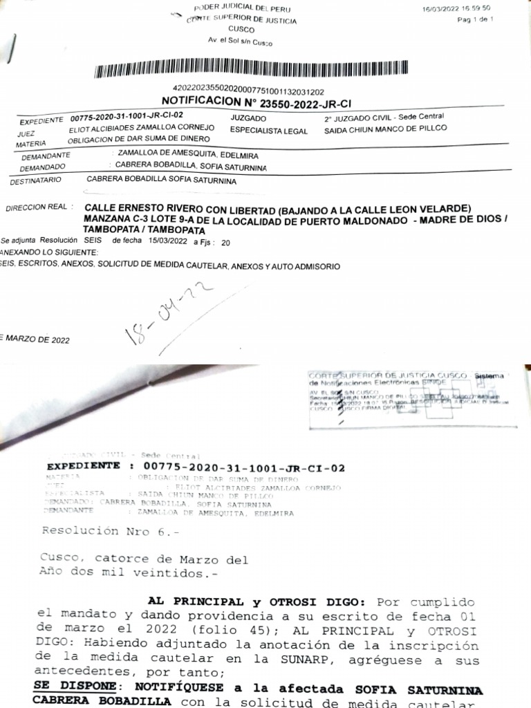 Embargo | PDF | Ley constitucional | Gobierno