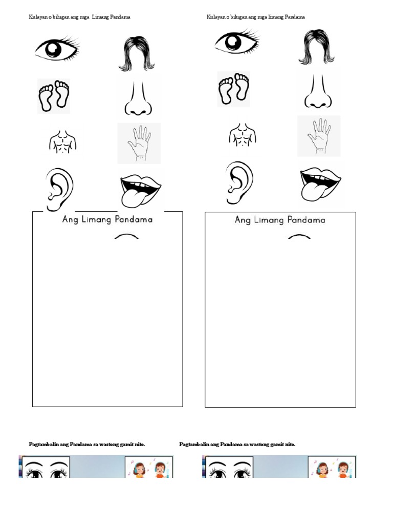 Week 9-Mga Pandama | PDF