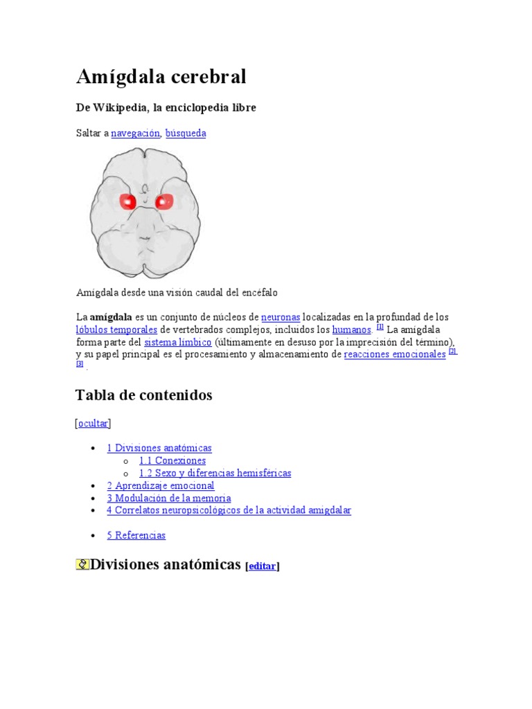 Amígdala+cerebral