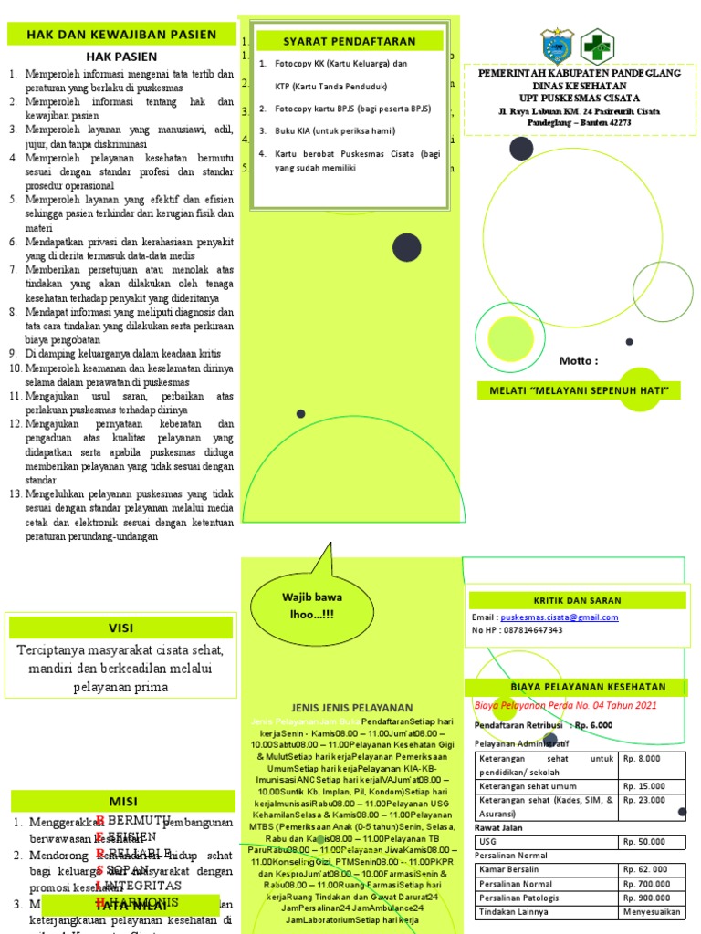 Leaflet PKM Cisata Revisi | PDF
