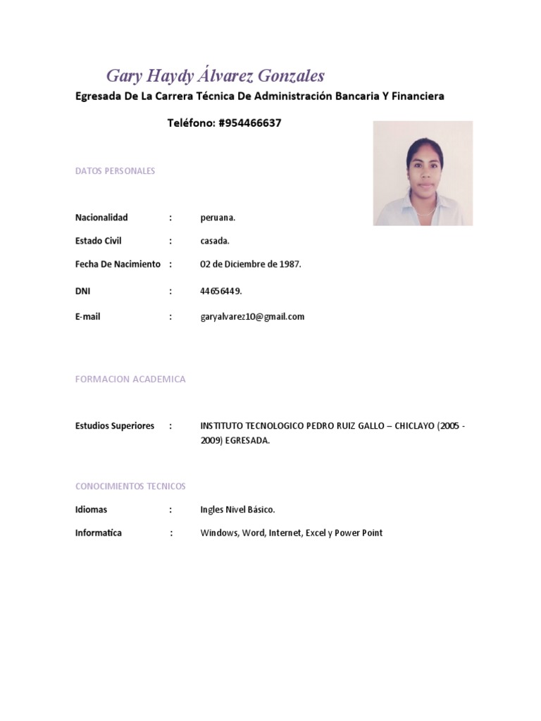 CV Gary Alvarez Gonzales | PDF