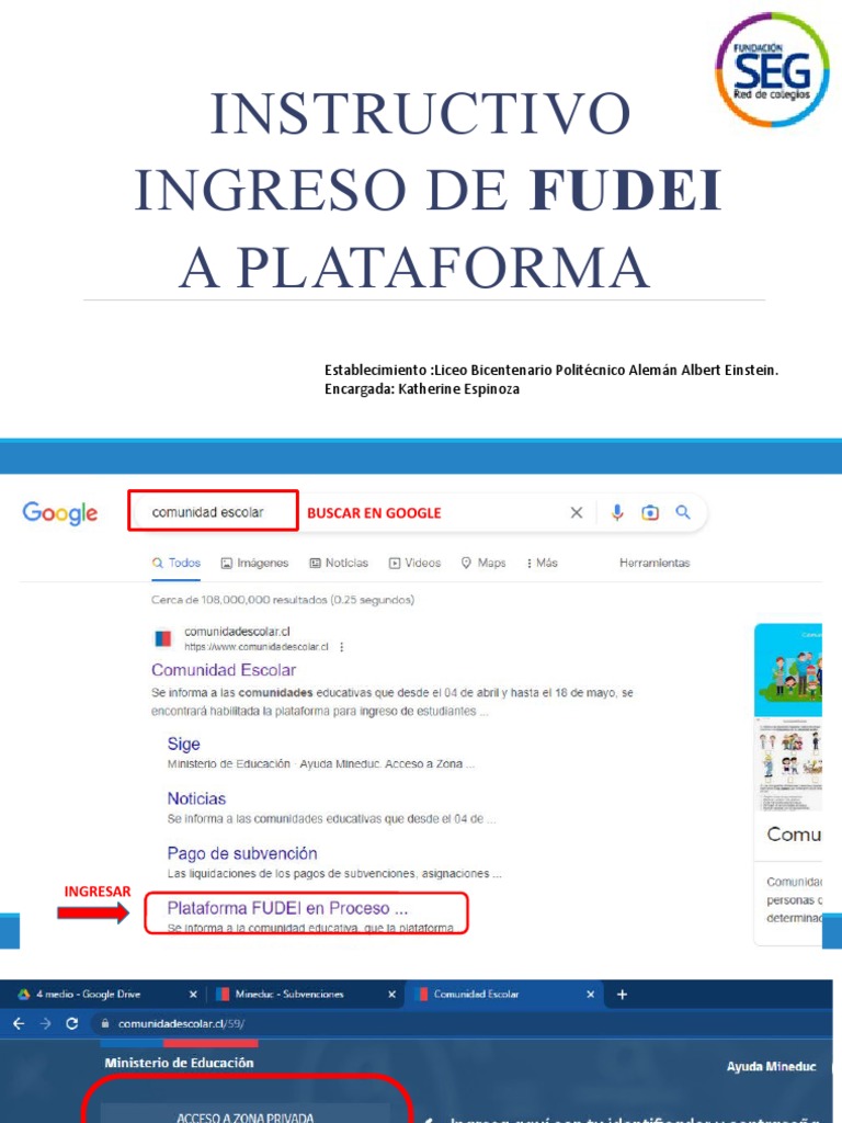 Ingreso FUDEI A Plataforma | PDF