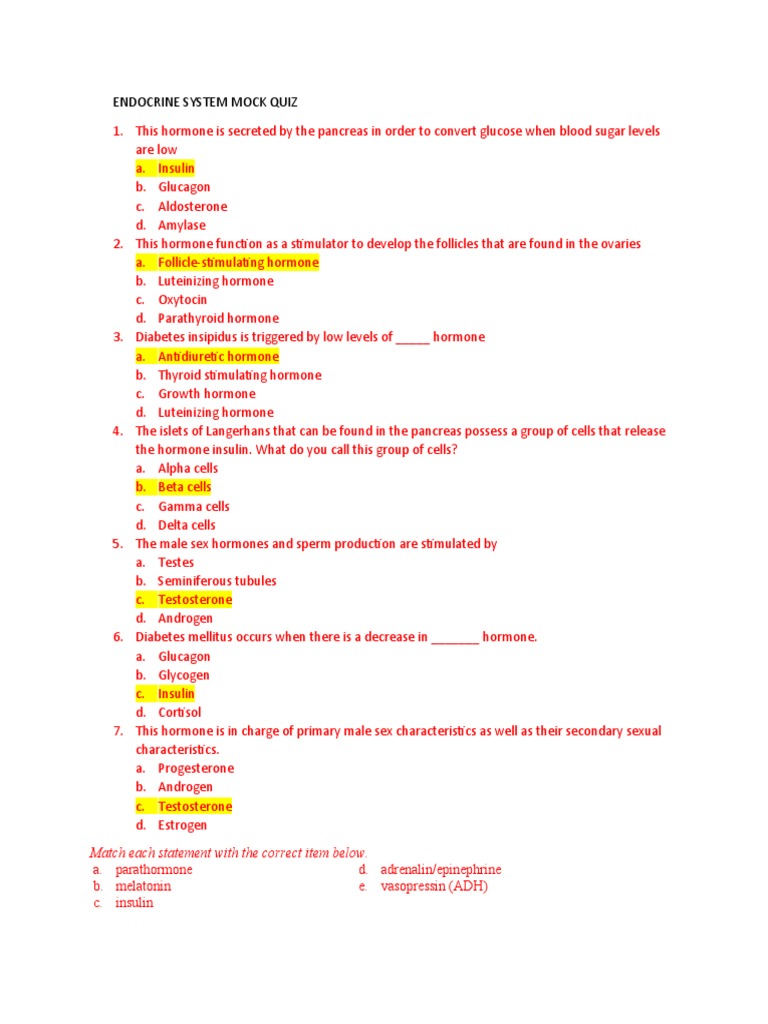 Endocrine System Mock Quiz Answers | PDF