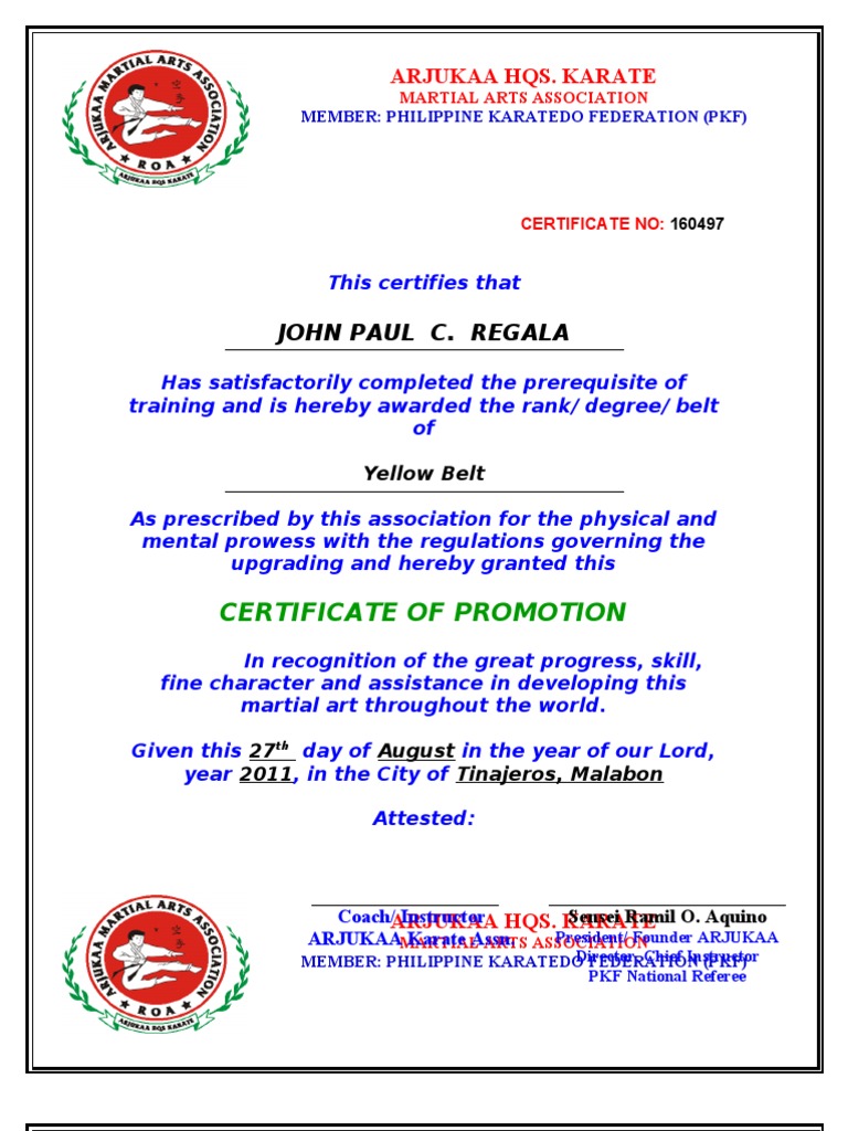 Karate Promotion Certificates Overview | PDF | Karate | Mixed Martial ...