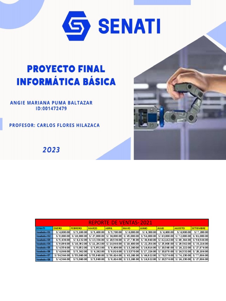 Proyecto Final-Informatica-Basica. | PDF