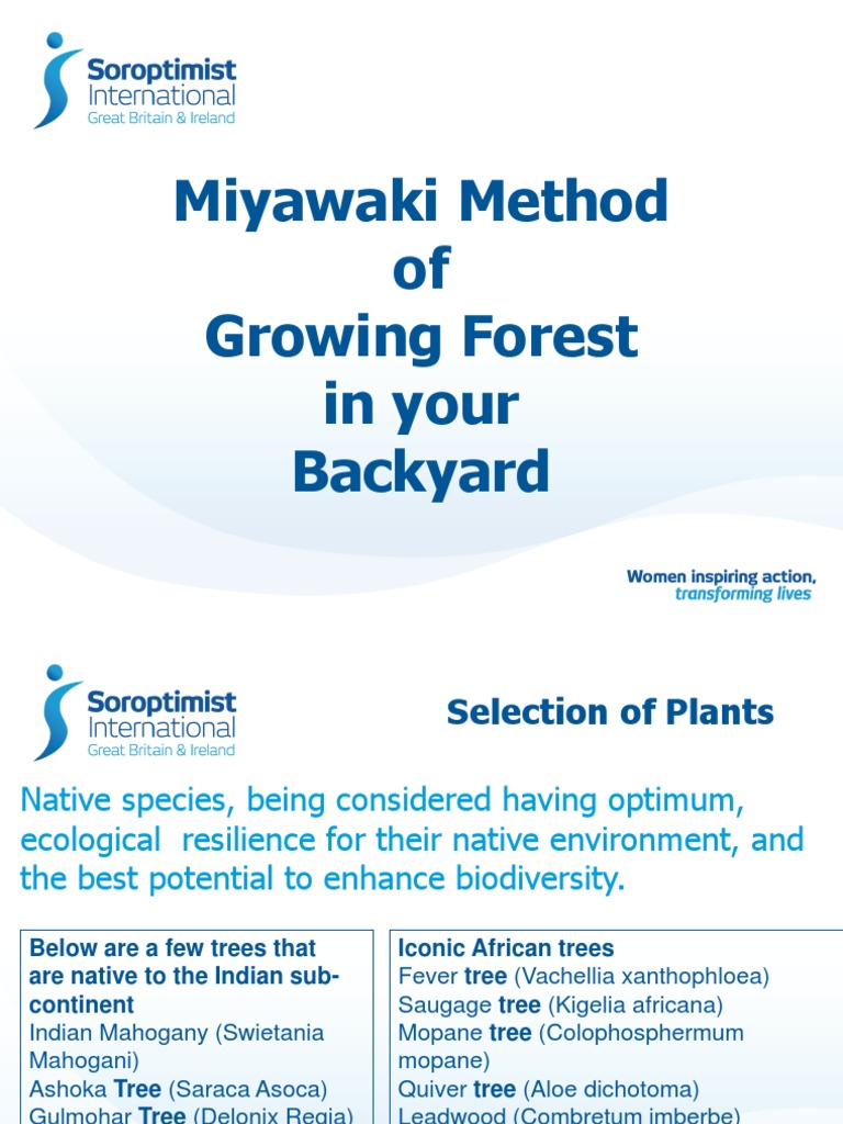 Miyawaki Method of Growing Forest in Your Backyard | PDF | Trees ...