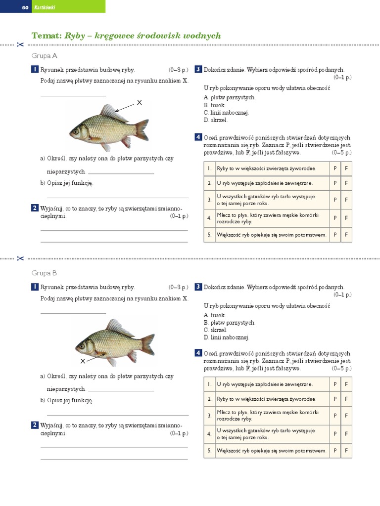 Temat: Ryby - Kręgowce Środowisk Wodnych: Grupa A | PDF