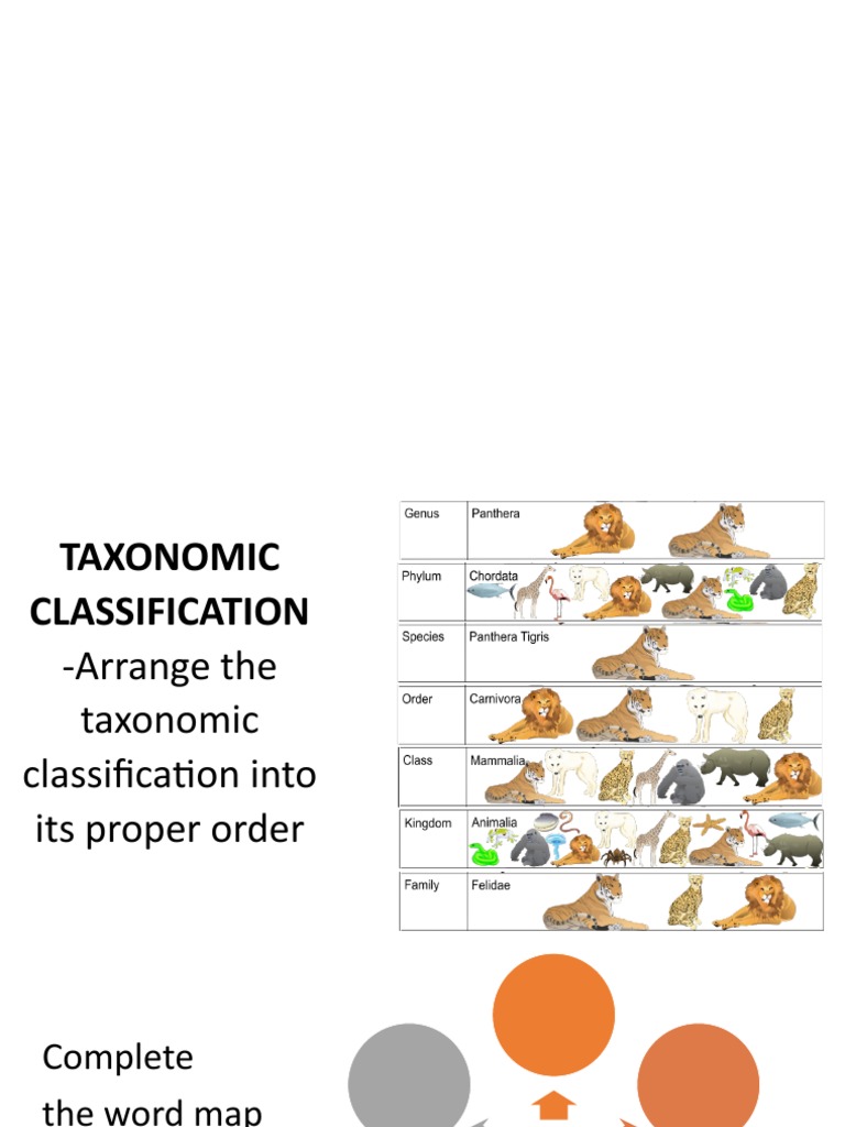 Theories of Evolution | PDF | Natural Selection | Evolution