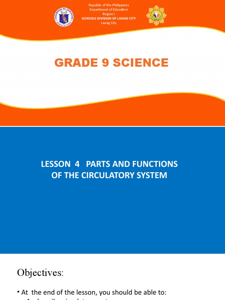 Circulatory System: Parts & Functions | PDF | Blood | Vein