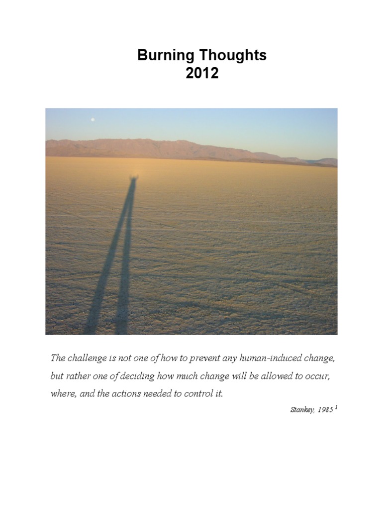Burning Man Environmental Impact Report | PDF | Dune | Desert