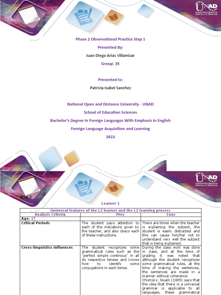 L2 Learner Analysis and Strategies | PDF | Second Language | Neuroscience