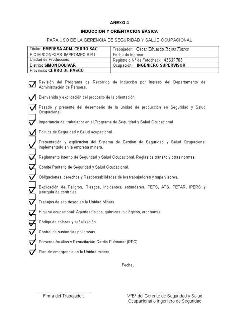 Formato Anexo 4 Oscar | PDF
