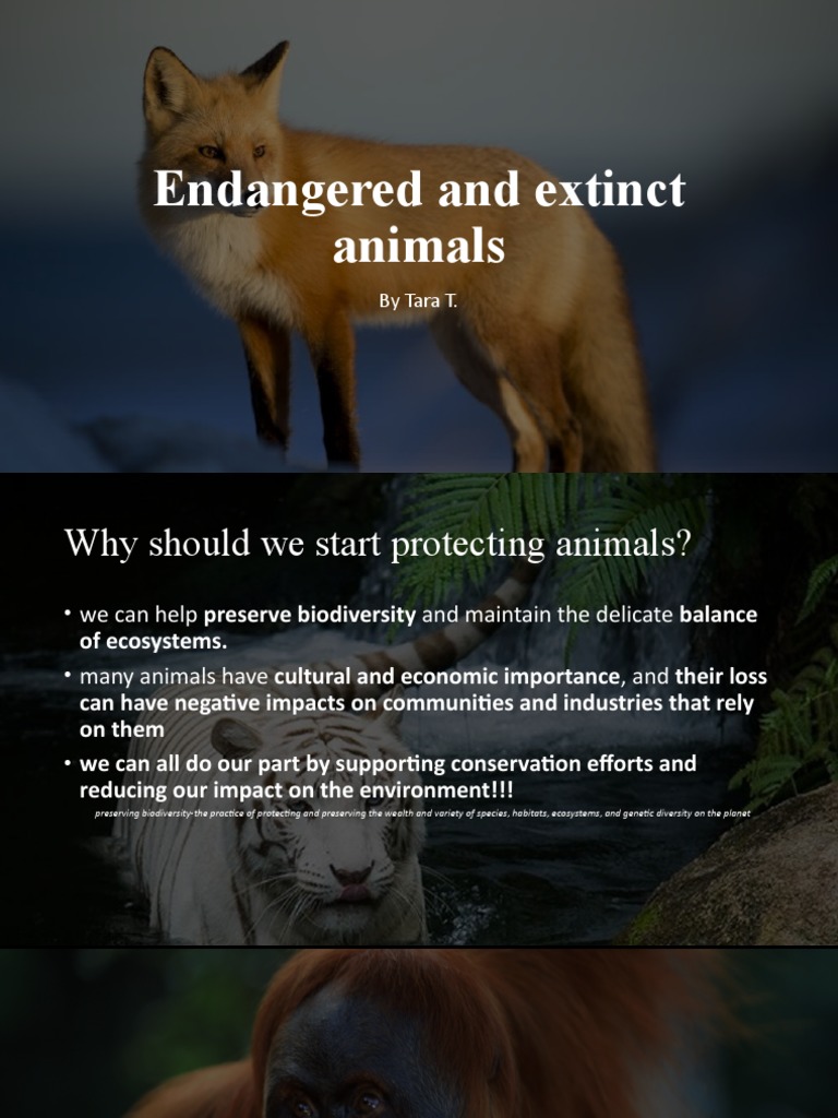 Endangered and Extinct Animals: by Tara T | PDF | Endangered Species ...