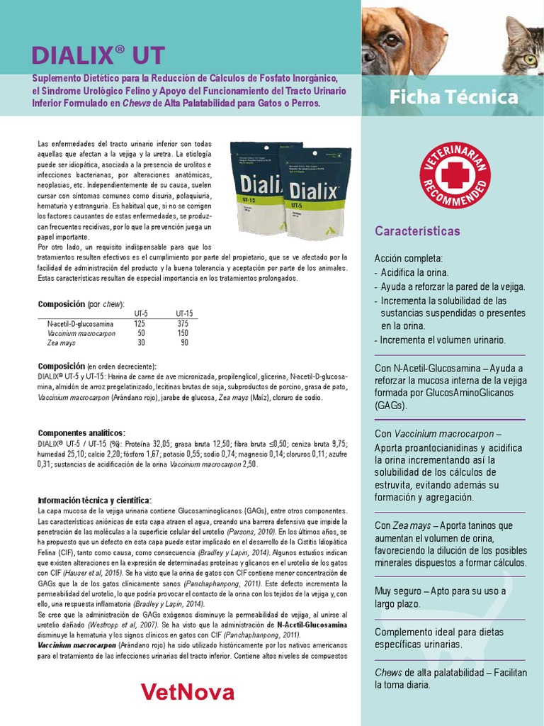 Dialix Ut | PDF | Gatos | Especialidades Medicas