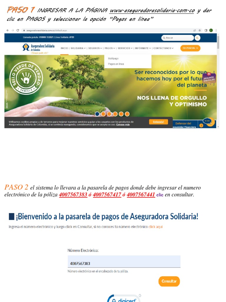 Paso A Paso de Pago Electronico Poliza Estudiantil (Pse) 2023-I | PDF