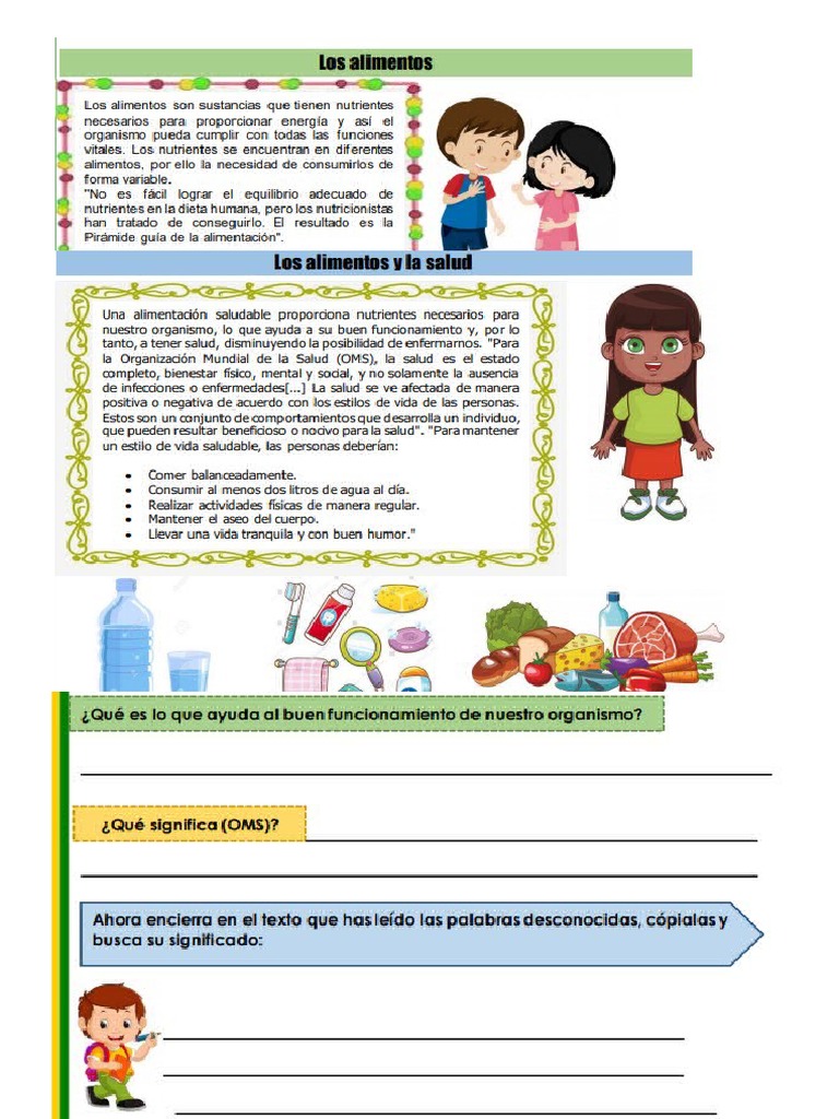 Ficha Informativa Los Alimentos | PDF