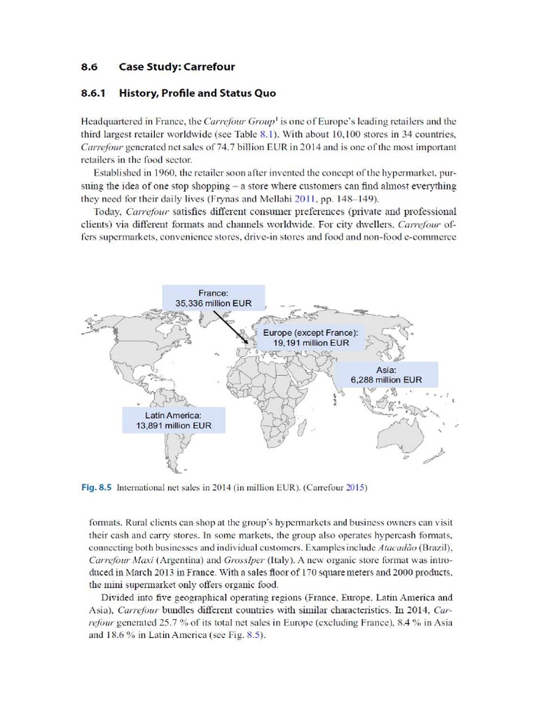 Case Study Carrefour | PDF