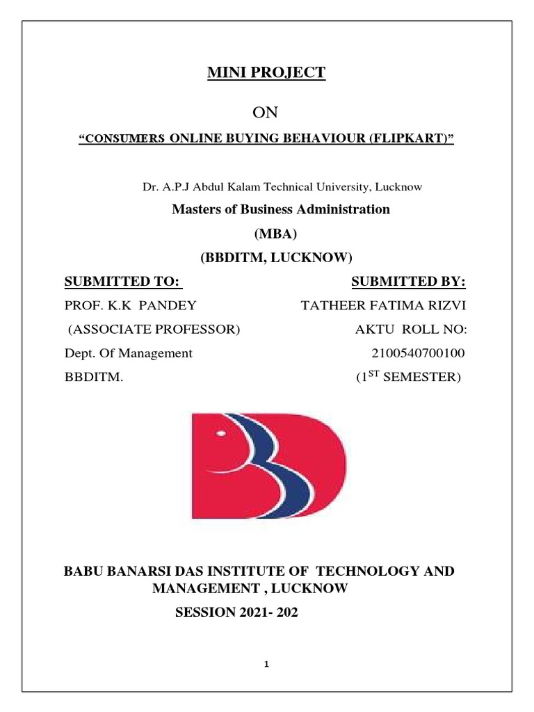 Mini Project Final | Download Free PDF | Online Shopping | Retail