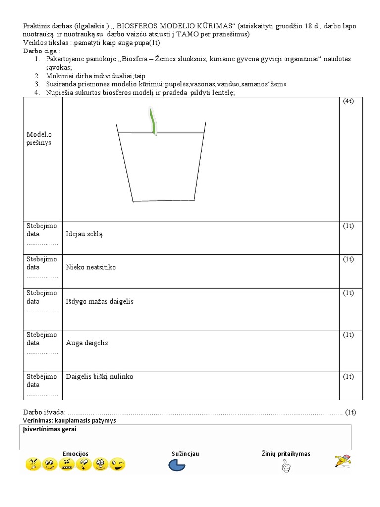 2 Pamoka Praktinis Darbas Biosferos Modelio Kurimas | PDF