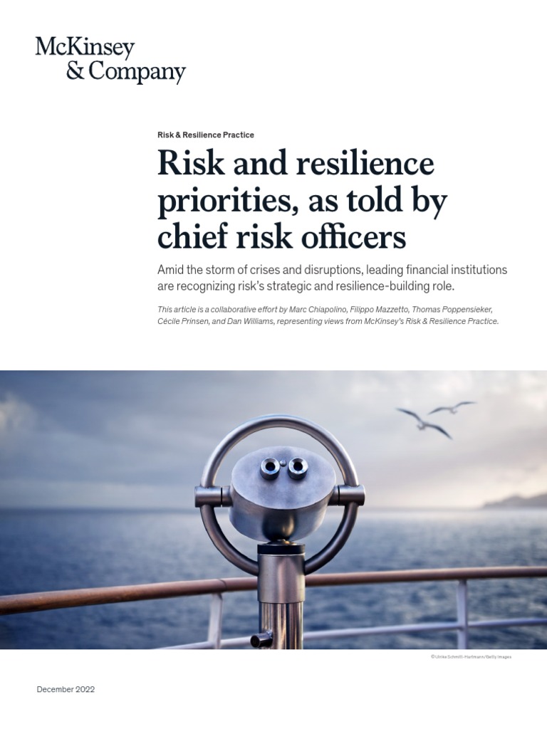 Risk and Resilience Priorities As Told by Chief Risk Officers | PDF ...
