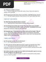 LOGO Programming Basics | PDF | Computer Engineering | Software